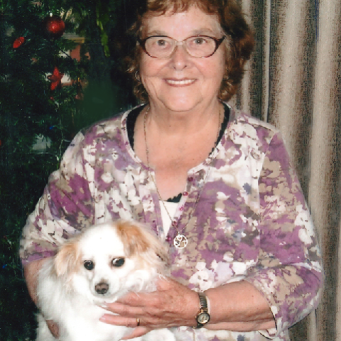 Handley Funeral Services